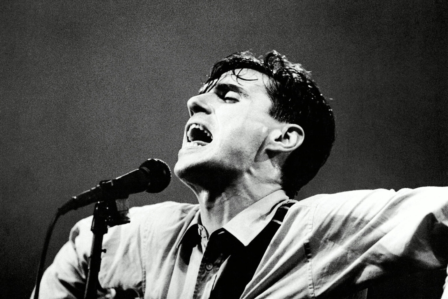 Watch out, you might get a new 'Stop Making Sense' trailer
