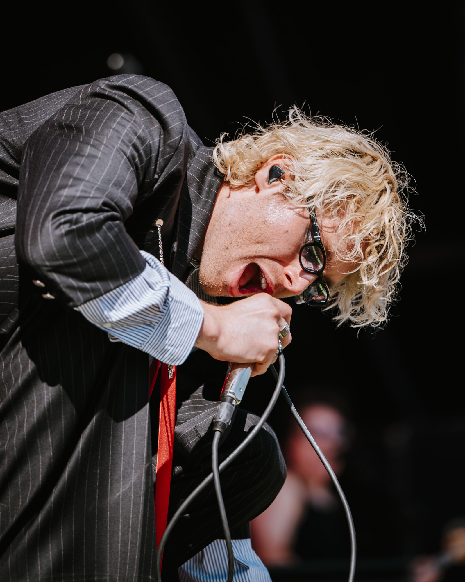 Photo Gallery: Luke Hemmings live at Boston Calling